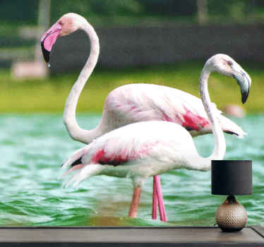 Decoratiuni deosebite fototapet animale - TenStickers