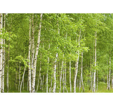 Nástěnné malby k transformaci vašeho domova - TenStickers