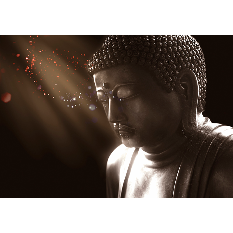 Mural de parede zen retrato sereno de buda