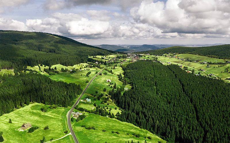 Poljske livade planinski freska - TenStickers