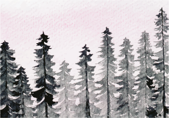 Fotomural bosque Aquarell madera bosque gris - TenVinilo