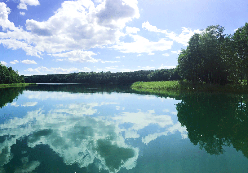 Serene Reflection lake mural wallpaper