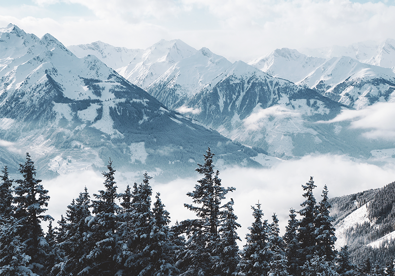 Snježne planine i drveće planinski mural - TenStickers