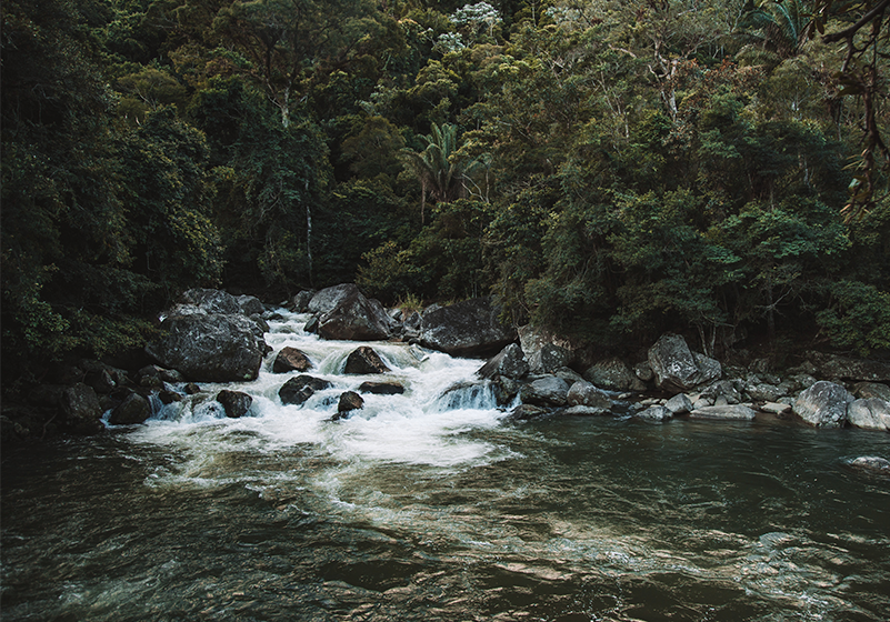 Fotomural naturaleza escena serena del río