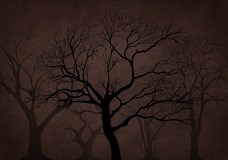 Copac cu fundal maro fototapetnatura - TenStickers