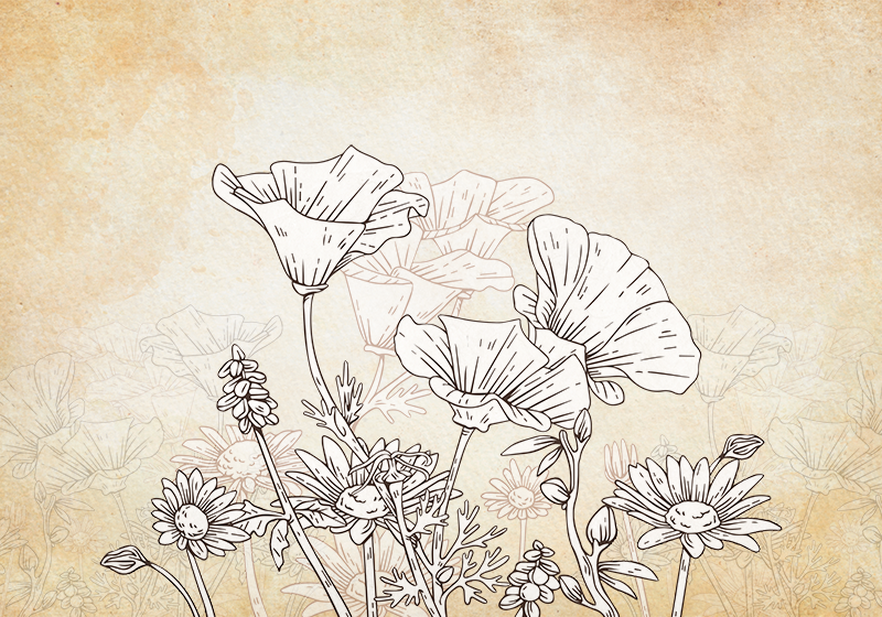 Vintage meadow poppy wall art