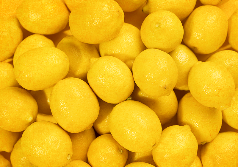 Citroner fototapet til køkkenet - TenStickers