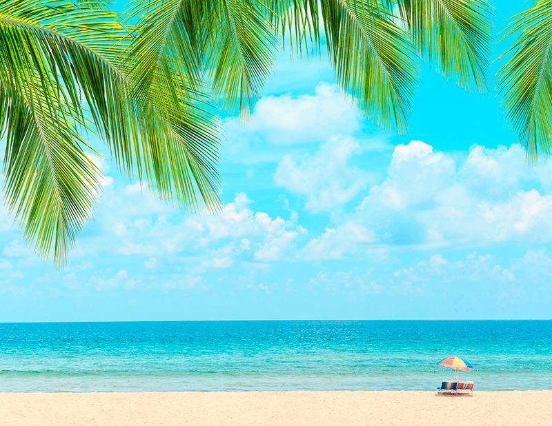 Bordes De Papel Tapiz Con Vistas A La Playa Evening On The Beach Papel