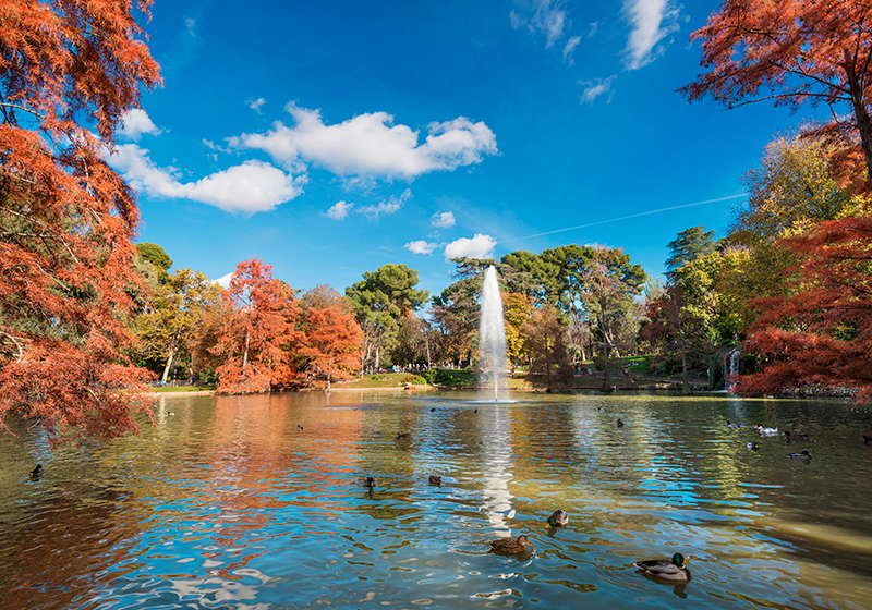 Fall Lakeside View lake mural wallpaper