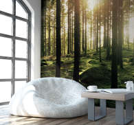 Versteck im Wald Fototapete - TenStickers