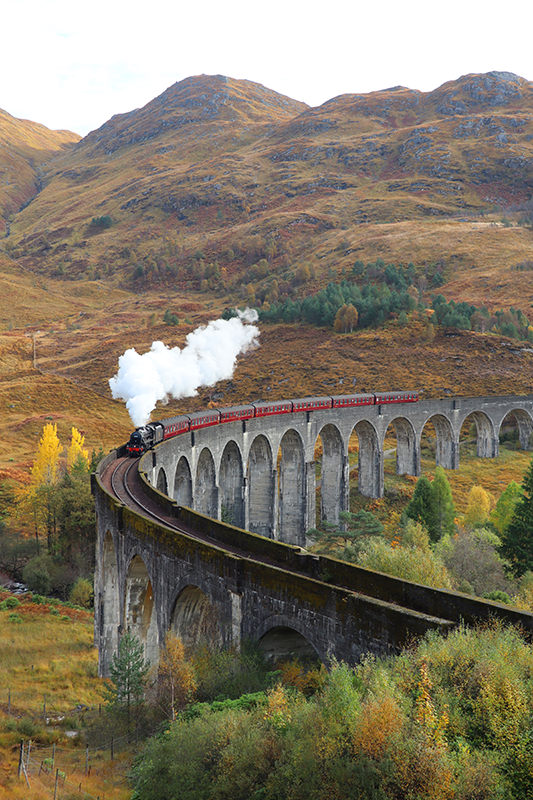 Moving train photo realistic poster