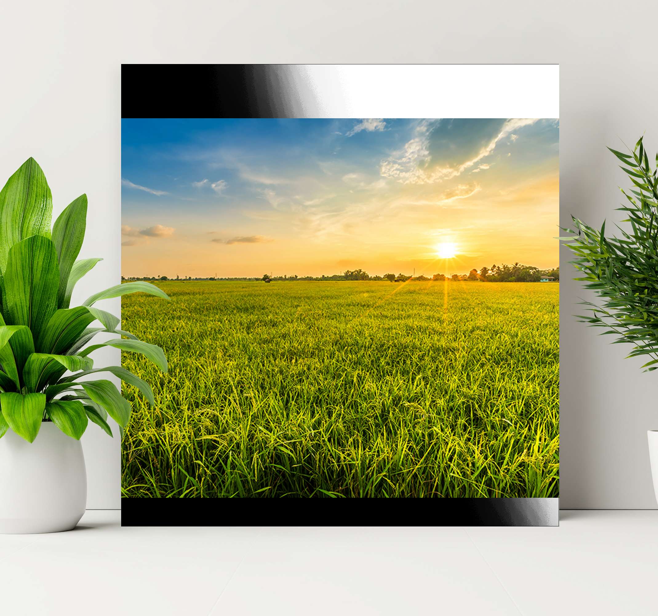 Grass field aesthetic photography landscape wall canvas - TenStickers