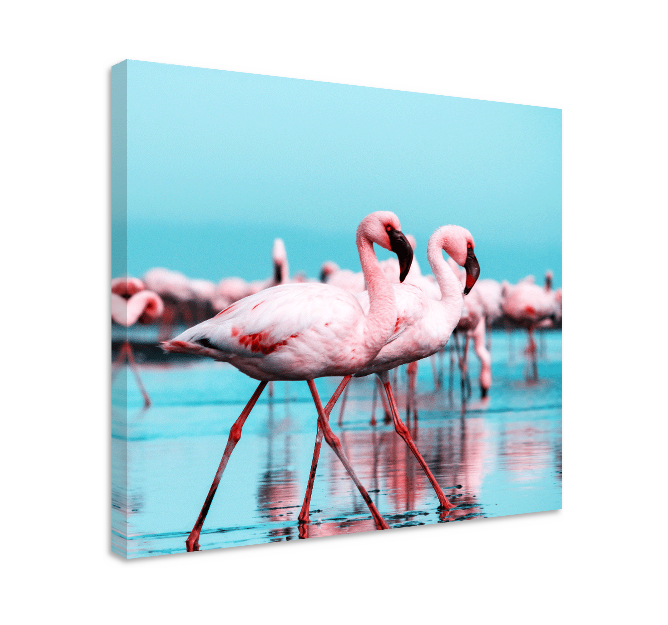 Gražūs flamingai paplūdimio pagrindinio miegamojo paveikslaisienų ...