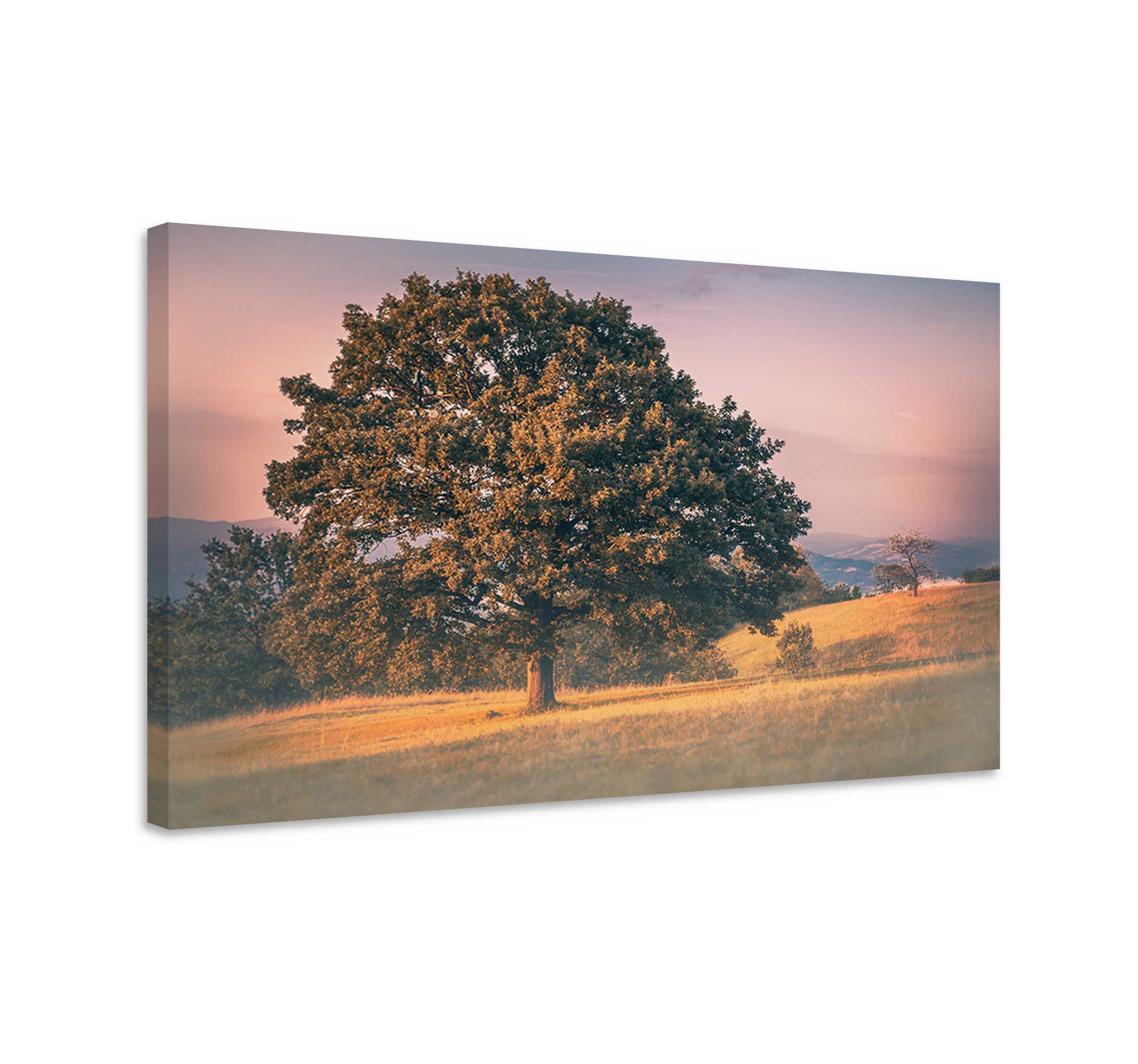 Old tree cottagecore style landscape wall canvas - TenStickers