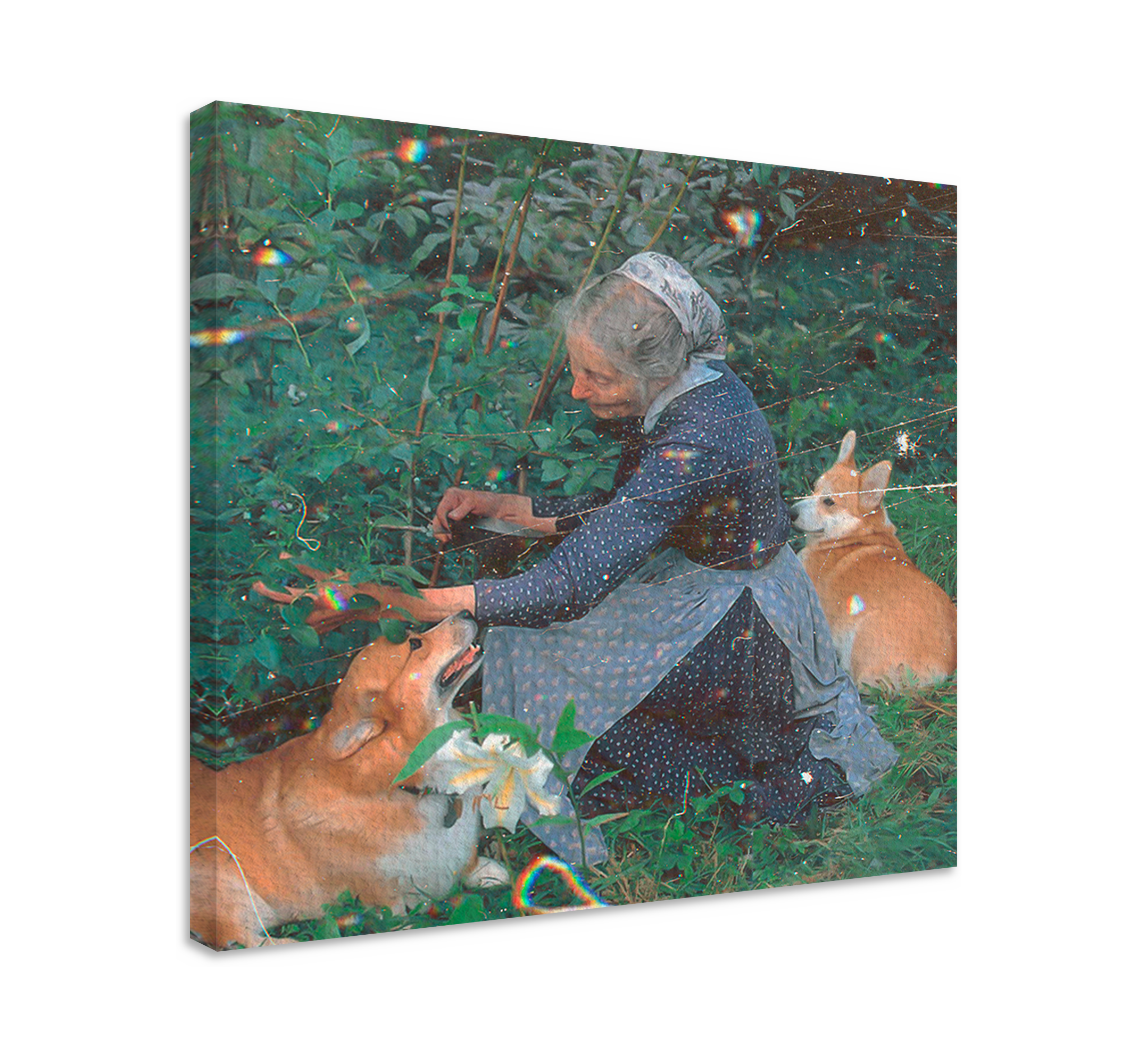 Slika na platnu psi žena s korgijima