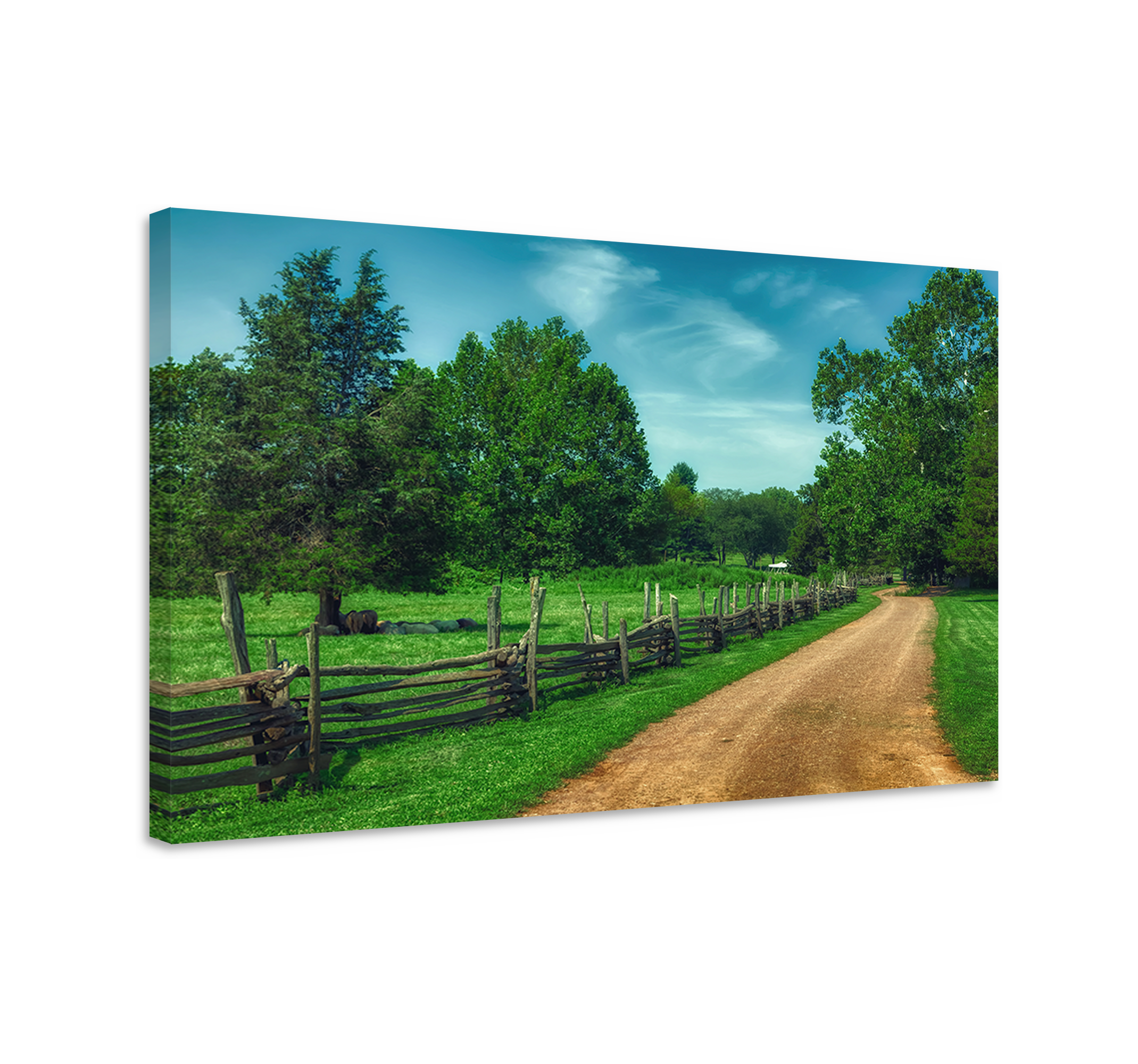 Vara copaci verzi drum padure peisaj perete panza - TenStickers