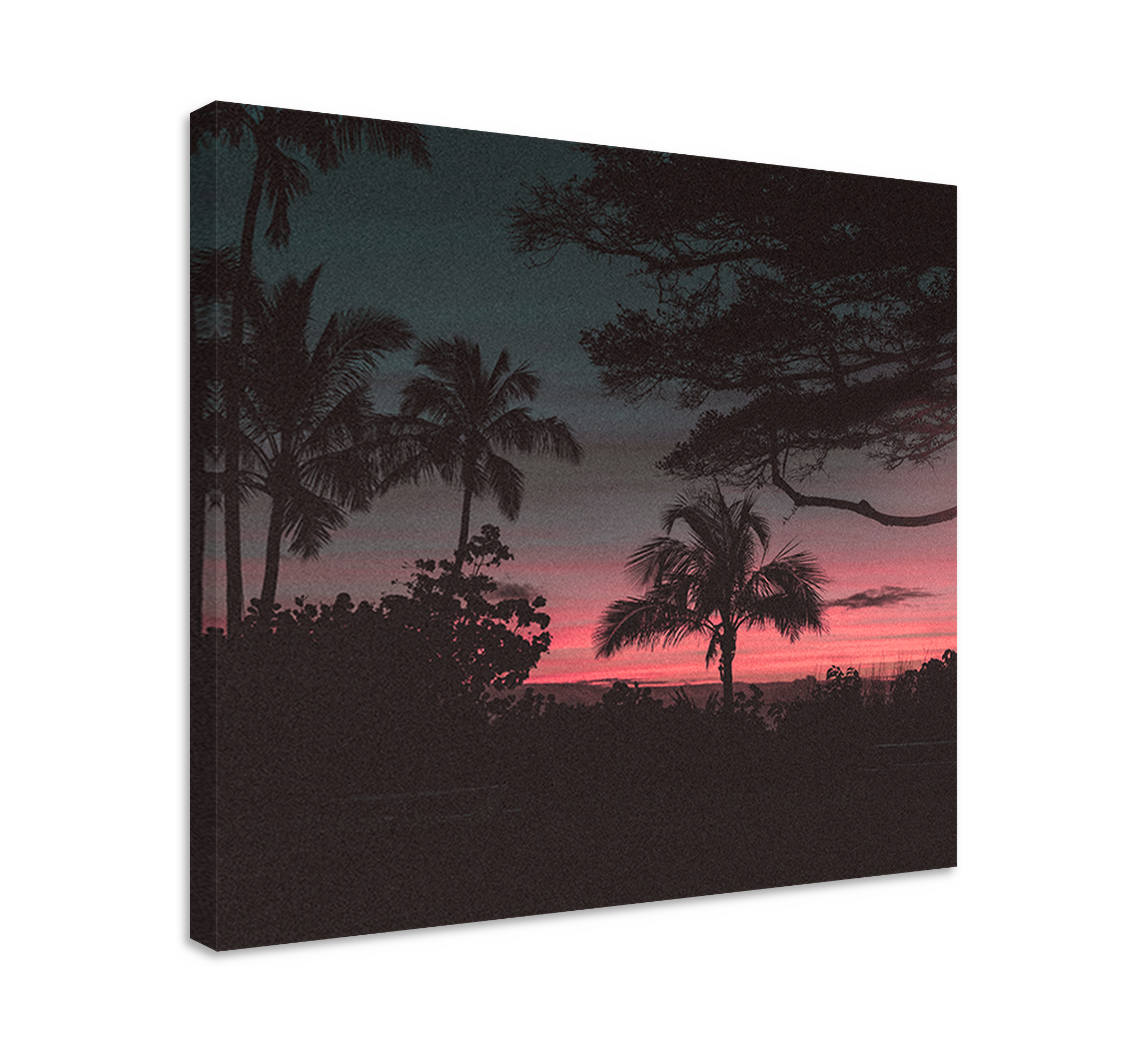 Cuadro de paisaje árboles cielo rosa atardecer - TenVinilo