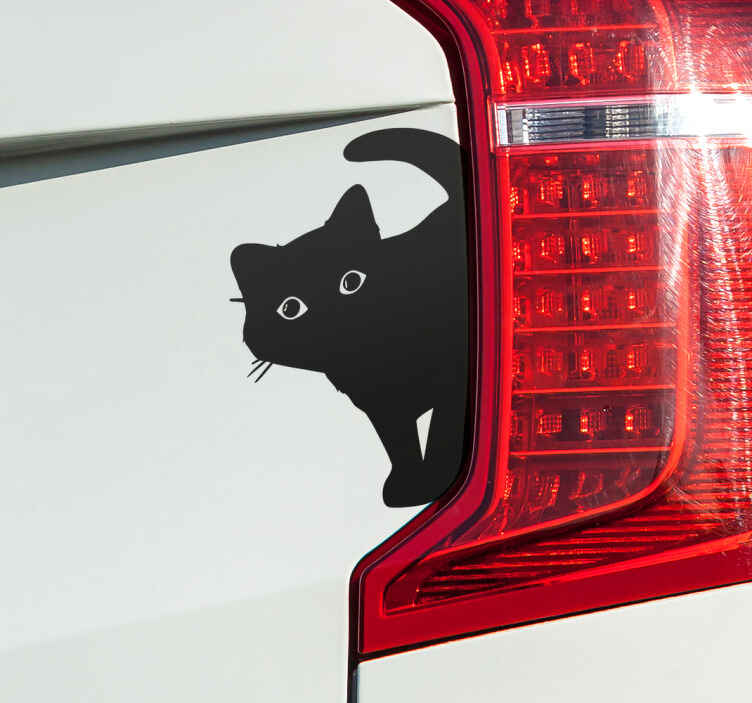 Curious black cat car decal