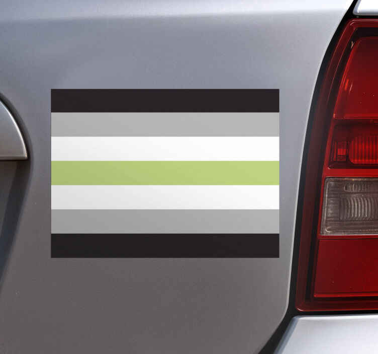 Agender flag car sticker