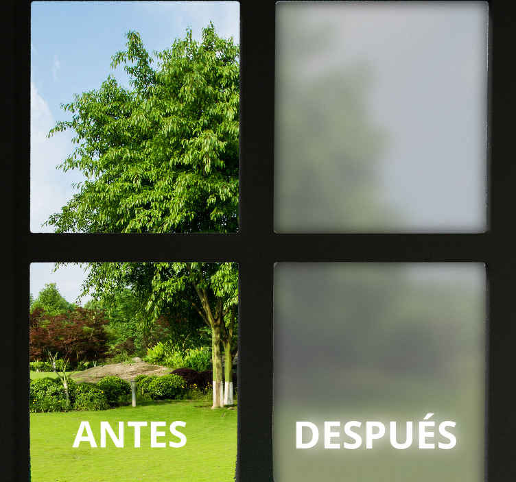 Vinilo decorativo cristal ventana translúcido a medida - TenVinilo