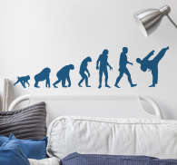 Wandtattoo Evolution Karate - TenStickers
