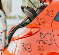 Butterflies Vehicle Sticker - TenStickers