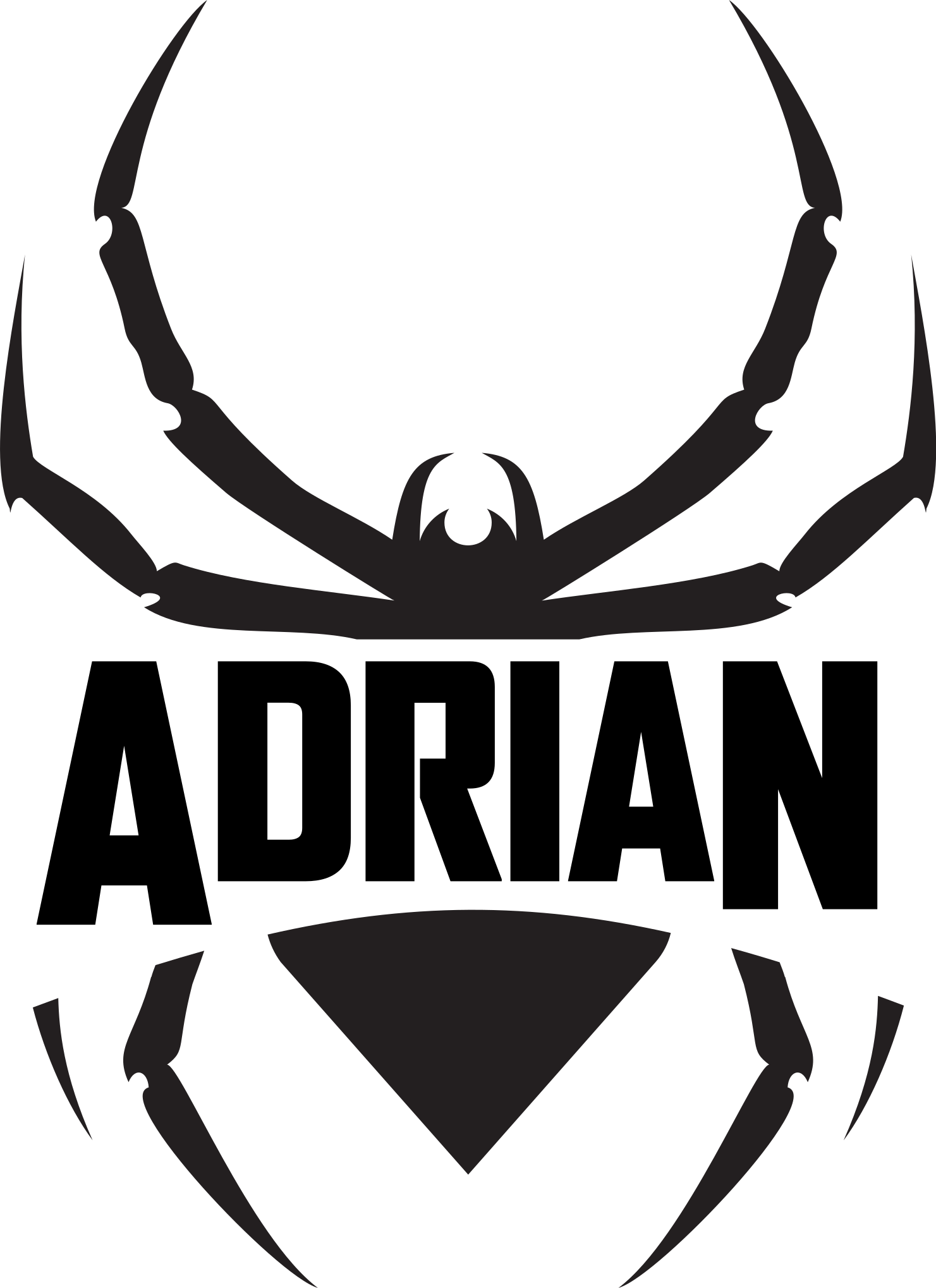 Kinder T Shirt Spinnensilhouette Mit Namen TenStickers kinder-t-shirt-spinnensilhouette-mit-namen-tenstickers