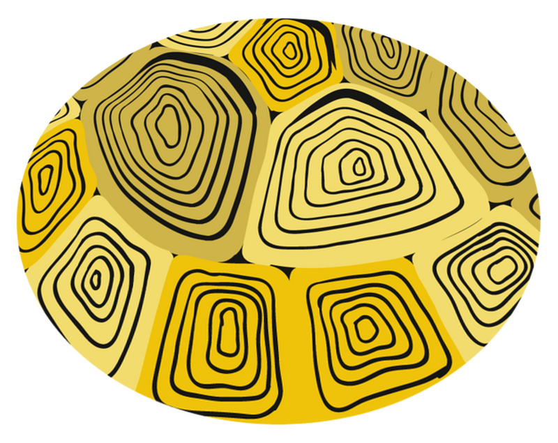 Gul skilpadde mønster dyretrykk teppe - Tenstickers