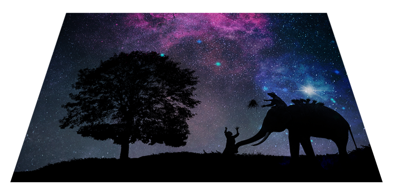 Cosmic elephant adventure animal mat