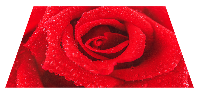 Tapis vinyle rouge une rose