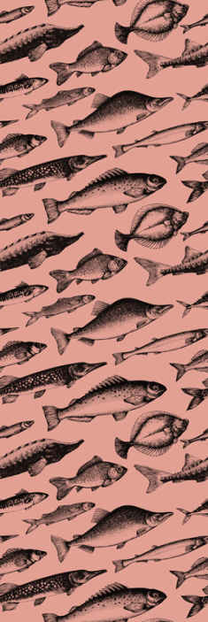 Pink fish pattern fishes wallpaper