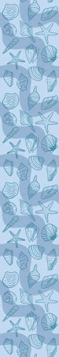 Seashells patterns Seashell wallpaper - TenStickers