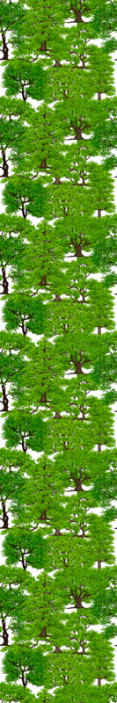 Realistic forest pattern tree wallpaper