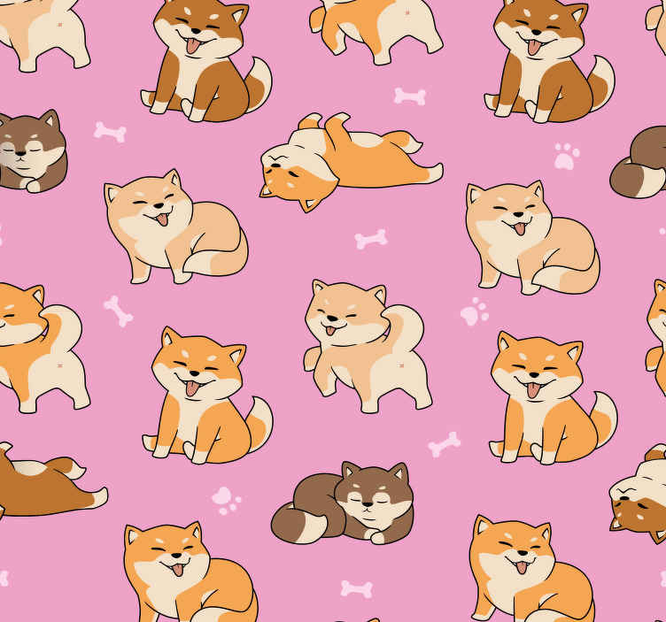 Playful Shiba Inus cat wallpaper