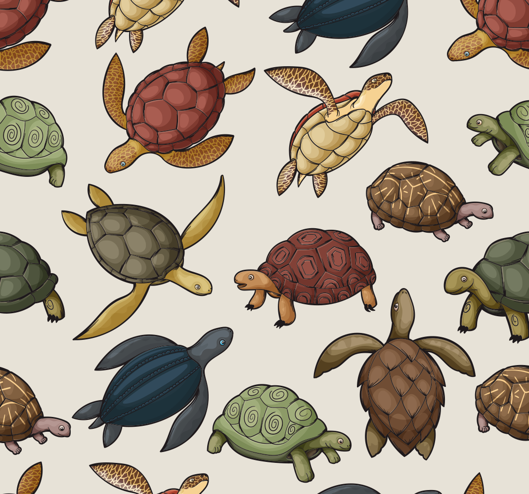 Beige Turtle Pattern cute animal wallpaper