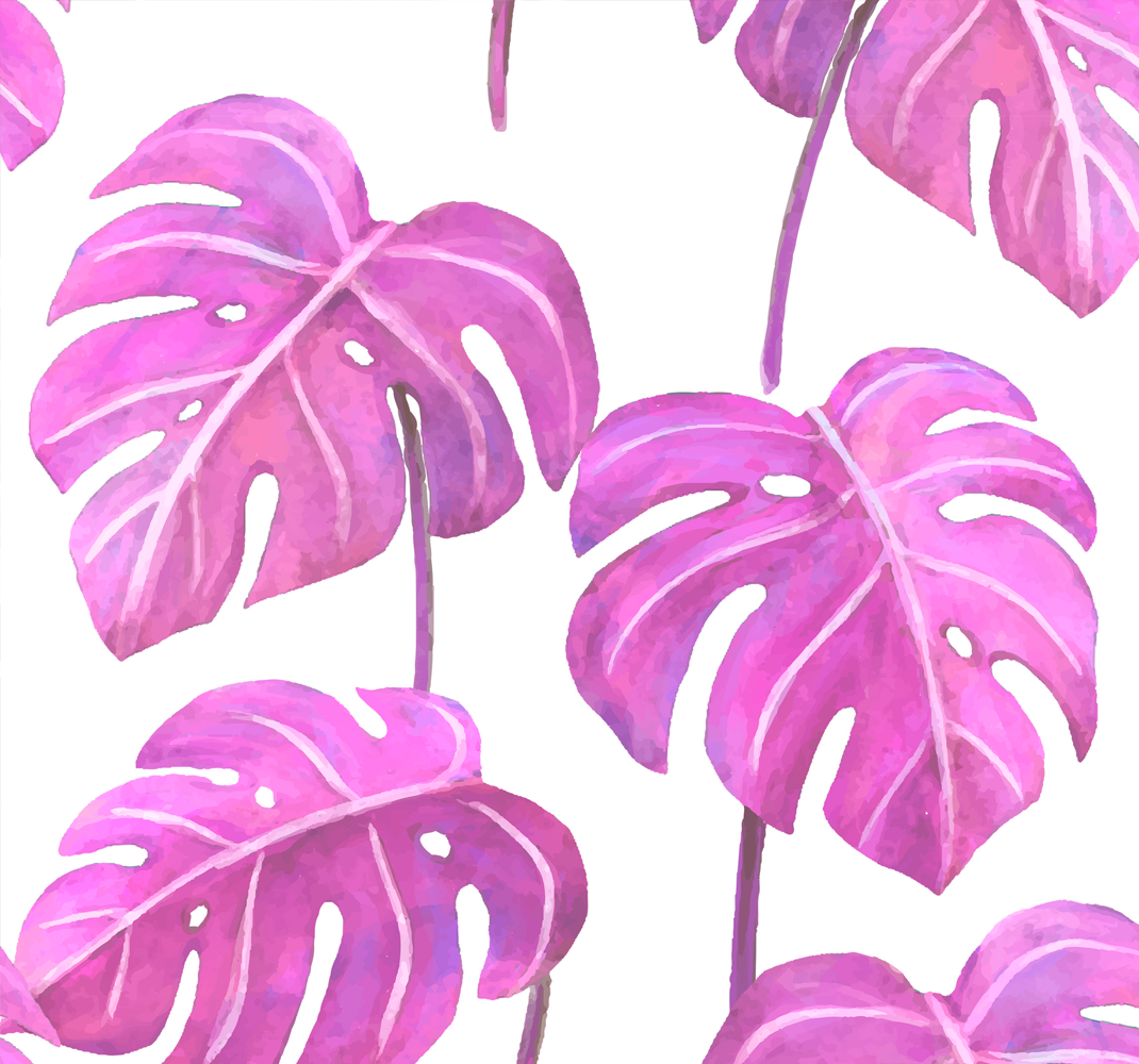 Monstera Deliciosa leaf wallpaper